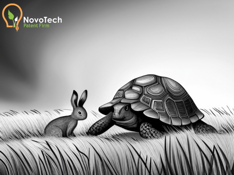 A guide to Provisional vs. Non-Provisional Patent Applications